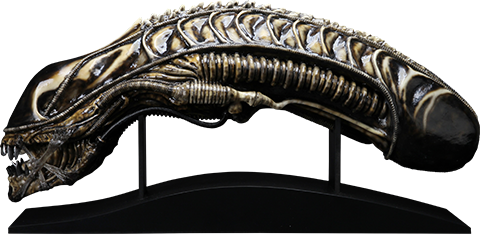 CoolProps / Sideshow Collectibles - Aliens Life-Size Prop Replica - Al ...
